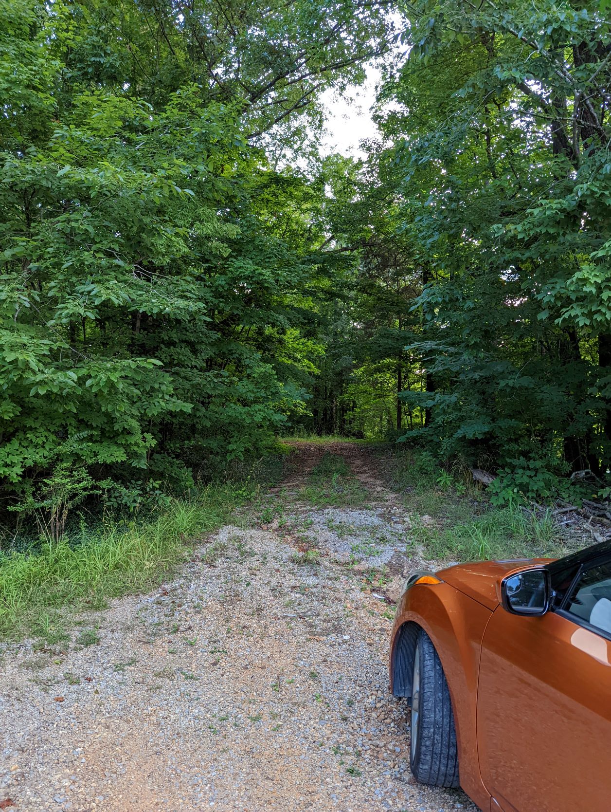 Dirt road to cemetery